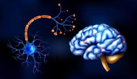 What Is Neurology? The Fascinating Science of the Nervous System ...